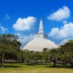 Taxi From Anuradhapura to Airport / Colombo (Private) - Authentic Experiences & Review Insights