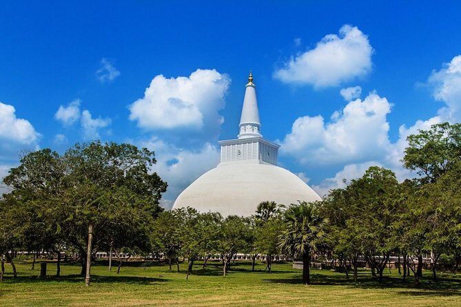 Taxi From Anuradhapura to Airport / Colombo (Private) - Authentic Experiences & Review Insights
