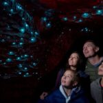Te Anau: Glowworm Caves Guided Tour - Entering the Caves: What to Expect