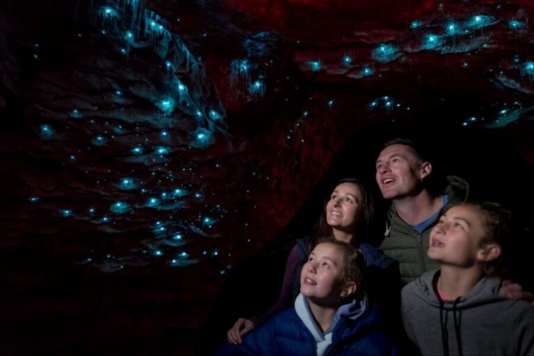 Te Anau: Glowworm Caves Guided Tour - Entering the Caves: What to Expect