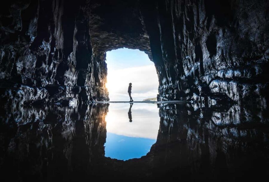 Te Anau to Dunedin via the Catlins & Invercargill 1 Way Tour - Transportation and Group Size