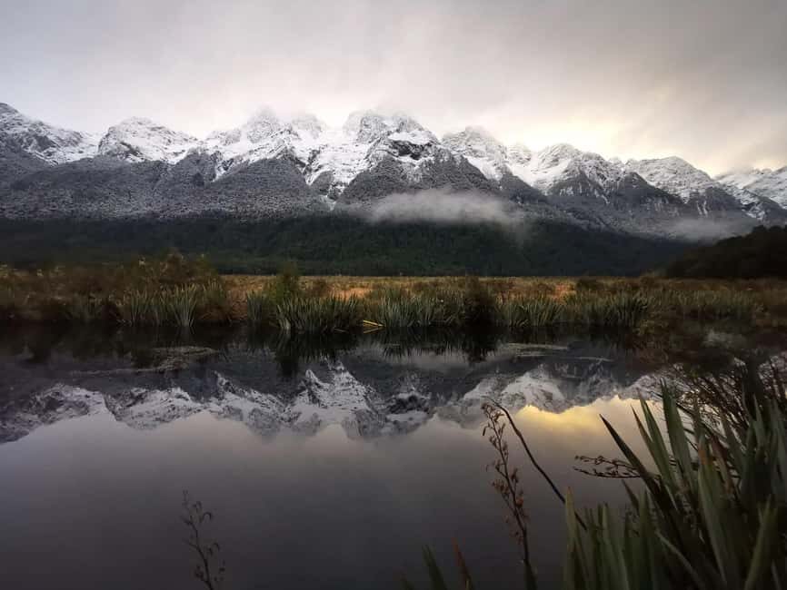 Te Anau to Queenstown inc Milford Sound Tour, Cruise & Lunch - The Sum Up