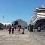 Te Puia And Redwood Park Day Trip Transport From Auckland - Practical Tips for Booking and Enjoying