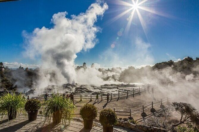 Te Puia Geothermal Valley - Rotorua - What Makes the Value Shine?