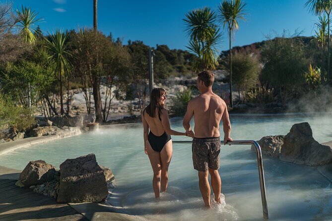 Te Puia & Hells Gate incl. Mud Spa Experience Private Tour - The Itinerary in Detail: What to Expect at Each Stop