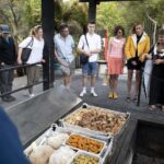 Te Puia: Te P Evening Hng Buffet and Cultural Experience - The Practical Aspects and How It Adds Up