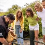 Te Puia: Tuku Iho Trail with Cultural Show - Visit to Kiwi Conservation Centre
