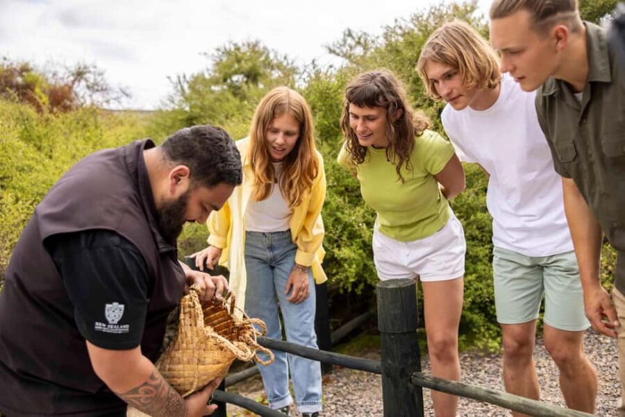Te Puia: Tuku Iho Trail with Cultural Show - Visit to Kiwi Conservation Centre