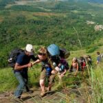 Tea plantation walk and stay in valley view Room (By Munnar Info) - Accommodations & Meals