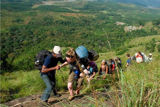 Tea plantation walk and stay in valley view Room (By Munnar Info) - Accommodations & Meals