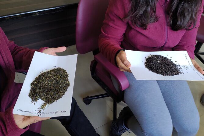 Tea Pluckers' Day - Engaging with Local Workers: Plucking and Beyond