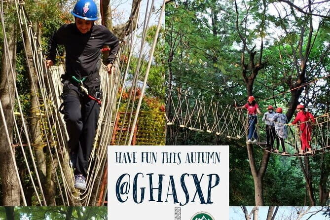 Tea Top Adventure Activities - The Overall Experience: More Than Just Rope Bridges