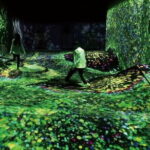 teamLab Forest Fukuoka an Immersive Art Experience Ticket - What to Expect at teamLab Forest Fukuoka