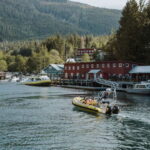 Telegraph Cove: 3-Hour Whale Watching Tour in a Zodiac Boat - The Authenticity and Atmosphere