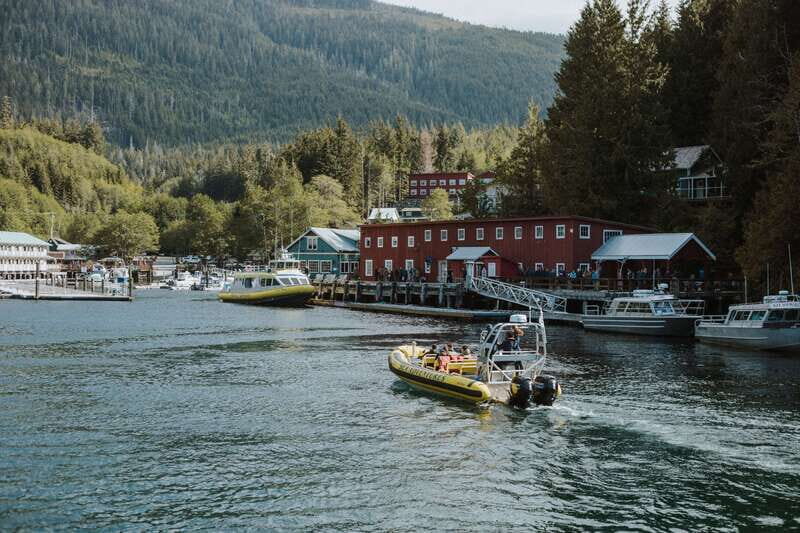 Telegraph Cove: 3-Hour Whale Watching Tour in a Zodiac Boat - The Authenticity and Atmosphere