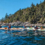 Telegraph Cove: Day Trip Kayaking Tour - Itinerary Breakdown