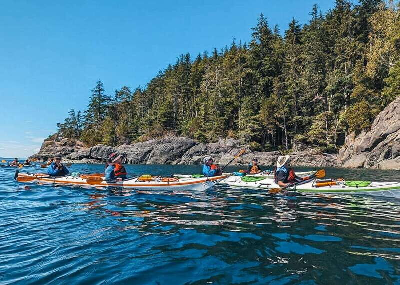 Telegraph Cove: Day Trip Kayaking Tour - Itinerary Breakdown