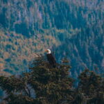 Telegraph Cove: Half-Day Kayaking Tour - Who Will Love This Tour