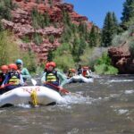 Telluride 1 Day Rafting Trip with Lunch - San Miguel River - Who Should Consider This Rafting Trip?
