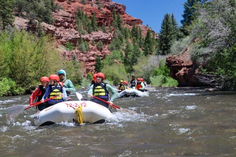 Telluride 1 Day Rafting Trip with Lunch - San Miguel River - Who Should Consider This Rafting Trip?