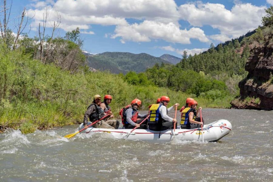 Telluride Afternoon Half Day Rafting Trip - San Miguel River - The Itinerary: What You Can Expect