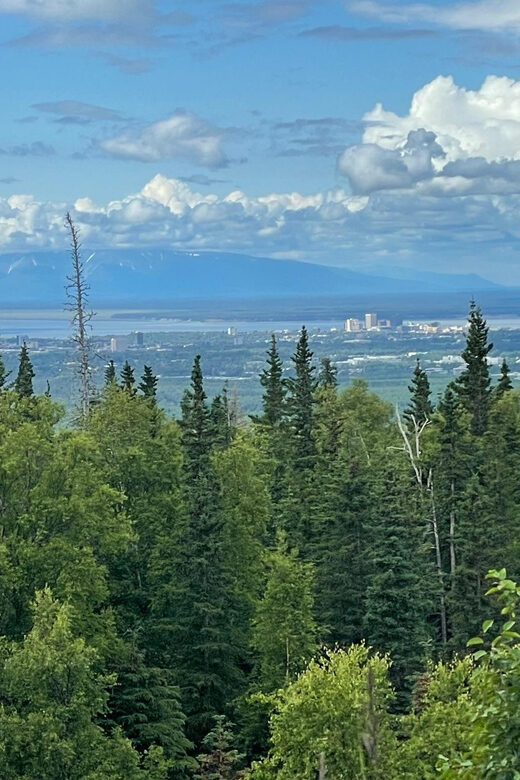 Tent city Anchorage and wonderful surroundings 3 hrs tour - Who Will Love This Tour?