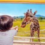 Teotihuacán for kids - Summing Up: Is This Tour for You?