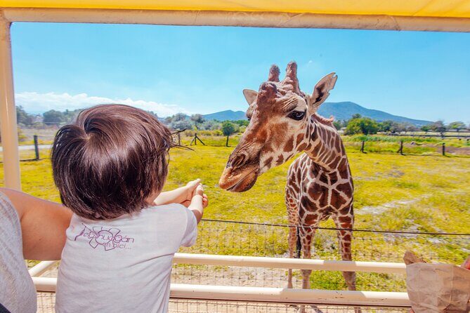 Teotihuacán for kids - Summing Up: Is This Tour for You?