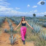 Tequila and Cantaritos Tour from Guadalajara - FAQs