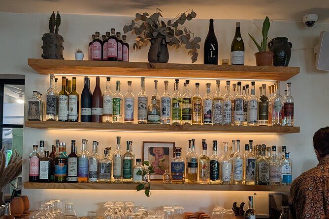 Tequila and Mezcal Tasting in DC - Snacks and Extras