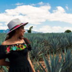 Tequila Full-Day Discovery Tour of Amatitan - What’s Included and What’s Not