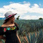 Tequila Full-Day Discovery Tour of Amatitan - Diving Into the Experience: What the Tour Offers