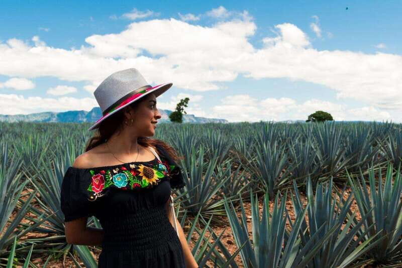 Tequila Full-Day Discovery Tour of Amatitan - What’s Included and What’s Not