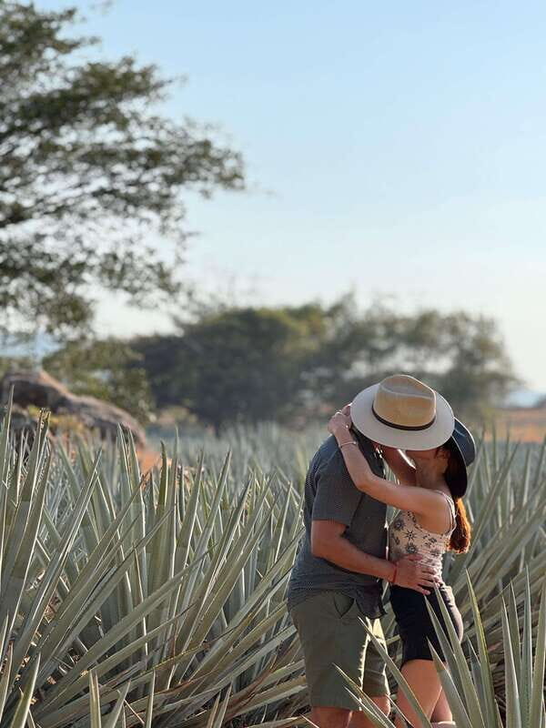 Tequila: Town and Distillery Guided Tour with Tastings - Detailed Breakdown of the Tour Experience