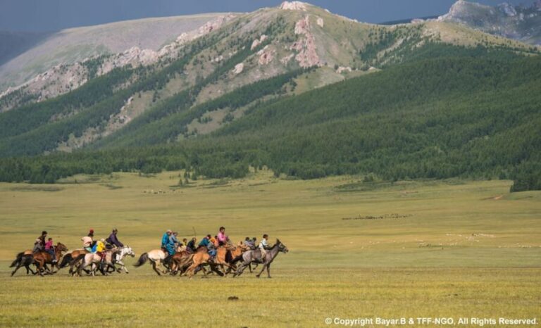 Terelj National Park: Tour with horse riding and hiking - An In-Depth Look at the Experience
