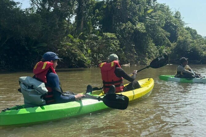 Terengganu Wildlife Kayak Tour - Why This Tour Is Valuable