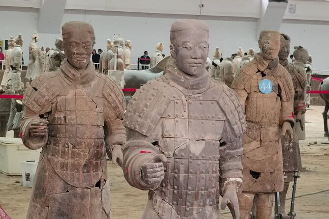 Terra cotta Army Museum English-speaking Guide Service - Authenticity, Value, and Who Will Love It