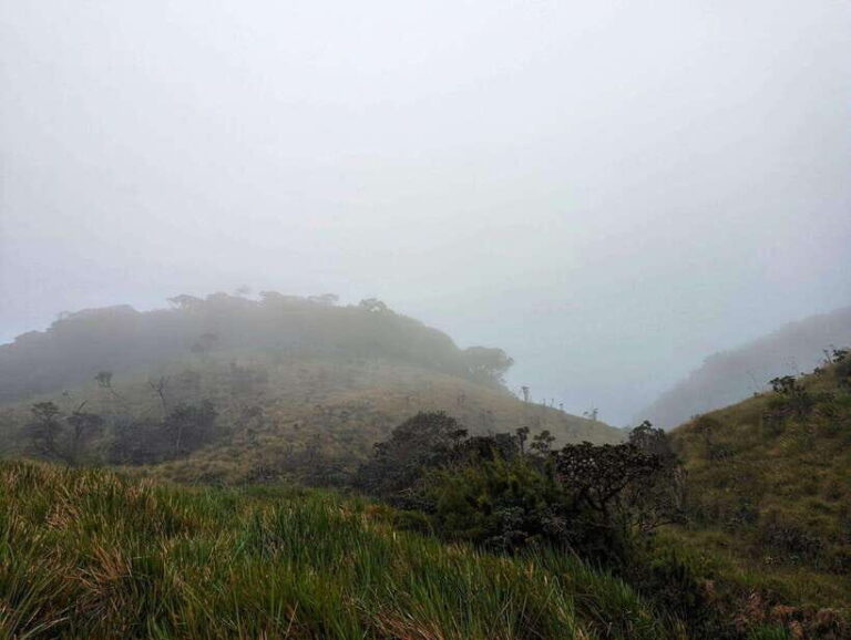 Thangappuwa Falls: Explore One of Knuckles 7 Cascades - The Itinerary in Detail