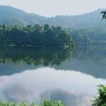 Thattekad Guided Bird Walk. - Who should consider this tour?