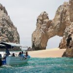 The Arch of Los Cabos Glass-bottom boat tour - Who This Tour is Perfect For
