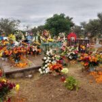 The authentic tour of the day of the dead in San Miguel d Allende - Value and Experience: What You’ll Take Away