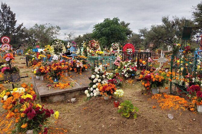 The authentic tour of the day of the dead in San Miguel d Allende - Value and Experience: What You’ll Take Away