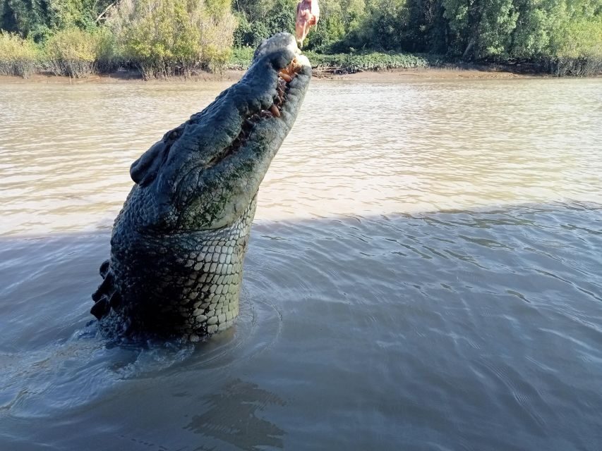 The best Litchfield Tour and the best Crocodile Cruise VIP - Who Will Love This Tour?