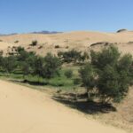 The Best of Central Mongolia Tour in 5 Days - Who Should Consider This Tour?