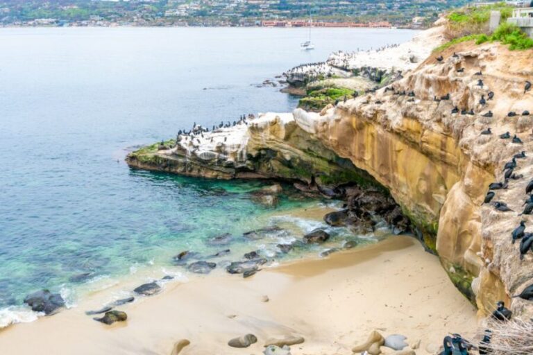 The Best of La Jolla Walking Tour - Sip, Savor & Sea - The Itinerary in Depth