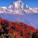 The Best of Nepal : 5-Day Trek to Ghorepani Poon Hill & Ghandruk - Physical Demands and Group Size