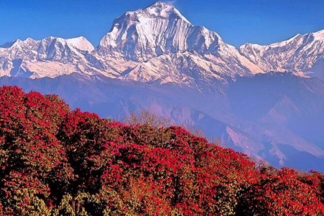The Best of Nepal : 5-Day Trek to Ghorepani Poon Hill & Ghandruk - Physical Demands and Group Size