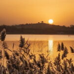 The Best of Shijiazhuang Walking Tour - Who Should Consider This Tour?