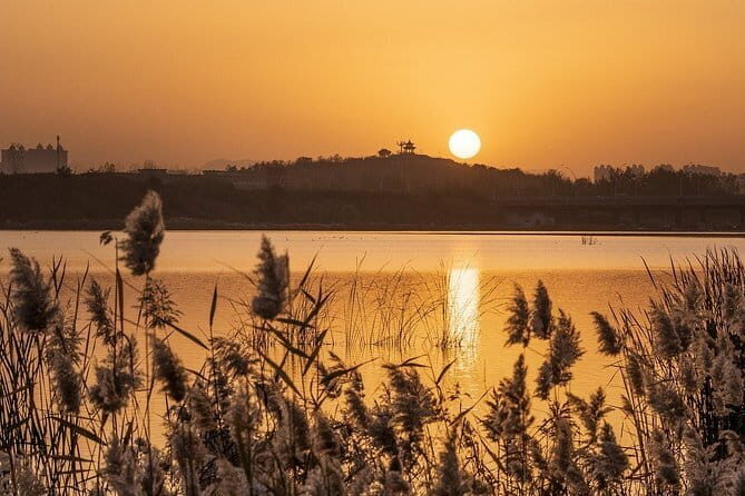 The Best of Shijiazhuang Walking Tour - Who Should Consider This Tour?