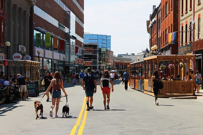 The Best of St. John's Private Walking Tour - The Itinerary Breakdown: What Youll See and Why It Matters